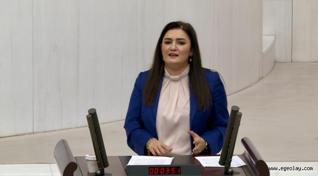 CHP'li Sevda Erdan Kılıç Genel Kuruldan Şiirle Seslendi: "Haykır Acını ...